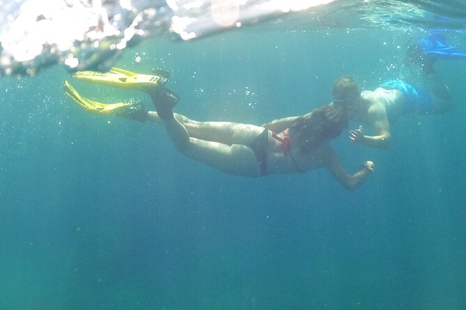 Third Island: Ilhéu das Cabras Boat Tour + Snorkeling - Who Should Consider This Tour?