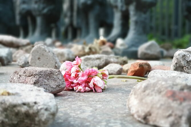 Third Reich Berlin Walking Tour With a French-Speaking Guide - Inclusions and Traveler Expectations