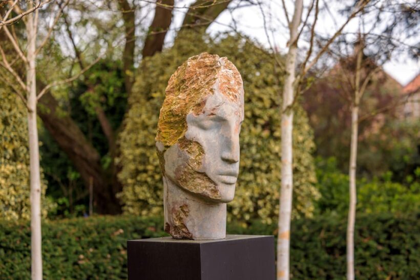 Thirsk Hall: Sculpture Garden Ticket - Practical Details: What to Expect and What Not