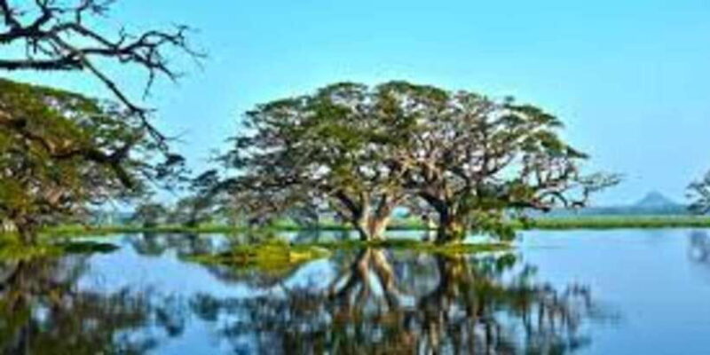 Thissa Lake Boat Safari - Exploring the Heart of Tissa Wewa