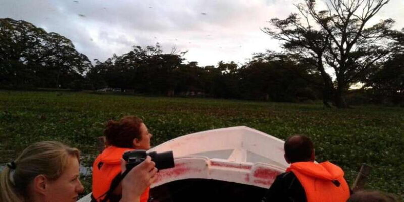 Thissa Lake Boat Safari - What You Can Expect During the Safari