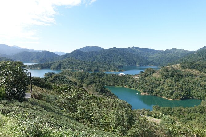 Thousand Island Lake and Pinglin Tea Plantation from Taipei - The Beauty of Tea at Bagua Tea Garden