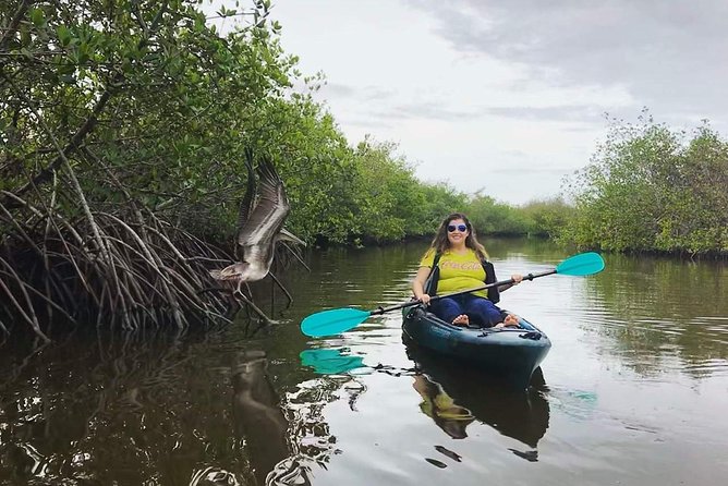 Thousand Island Mangrove Tunnel, Manatee & Dolphin Kayak Tour w/Cocoa Kayaking - Who This Tour Is Best For