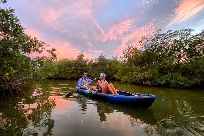 Thousand Islands Mangrove Tunnel & Bio Comb Jelly Sunset Tour - Inclusions and Equipment