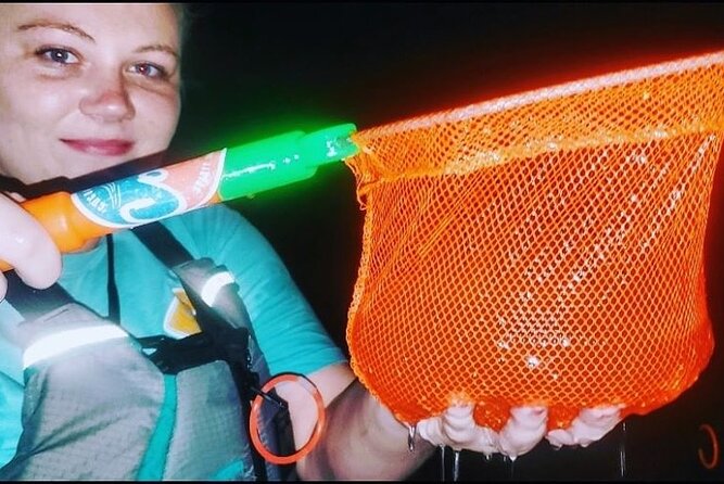 Thousand Islands Mangrove Tunnel & Bio Comb Jelly Sunset Tour - Exploring the Thousand Islands Mangrove Tunnel