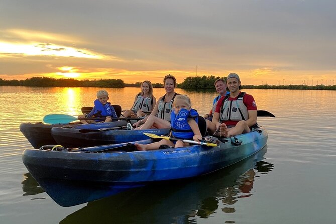 Thousand Islands Mangrove Tunnel & Bio Comb Jelly Sunset Tour - Guided Insights Into the Local Ecosystem