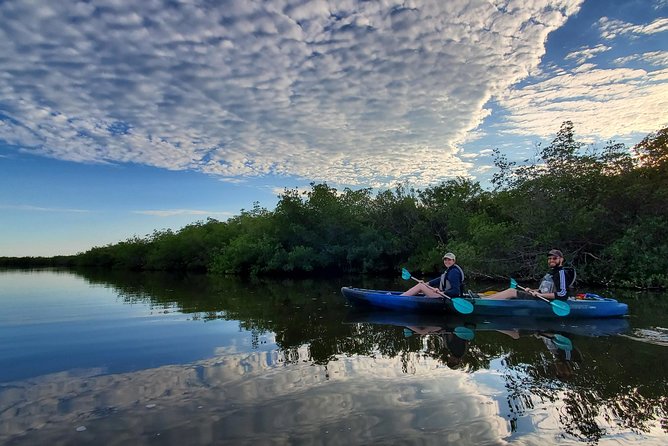 Thousand Islands Mangrove Tunnel Kayak Tour with Cocoa Kayaking! - The Guides and Their Impact