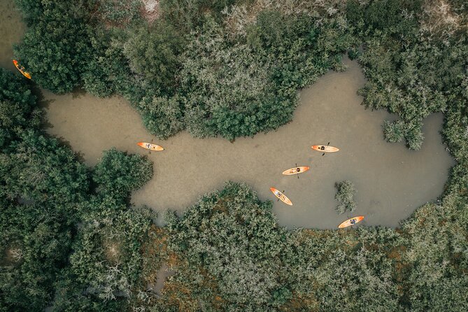 Thousand Islands Mangrove Tunnel Kayak Tour with Cocoa Kayaking! - The Value and Practicalities