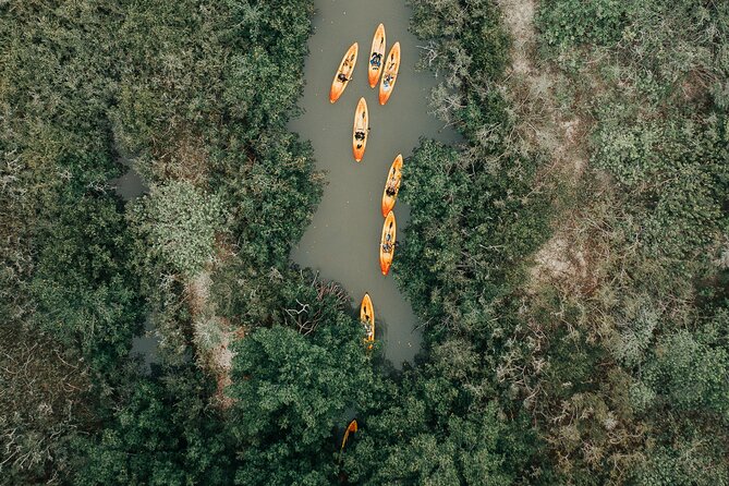 Thousand Islands Mangrove Tunnel Kayak Tour with Cocoa Kayaking! - Authentic Wildlife Viewing and Scenery
