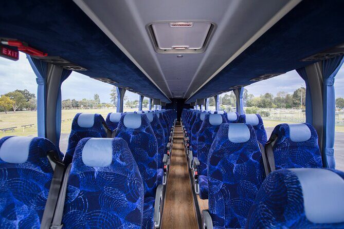 Thredbo or Perisher Bus Trip from Canberra - Who Would Love This Tour?