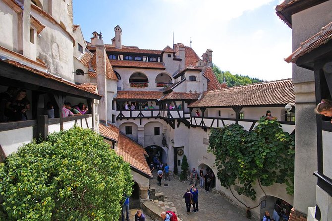 Three Castles in Transylvania Private Day Trip From Bucharest - Bran Castle