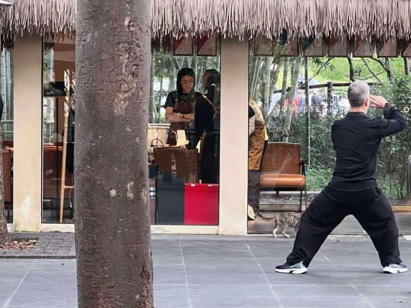 Three Hour Shanghai Tour Tai Chi and Yu Garden - Key Points