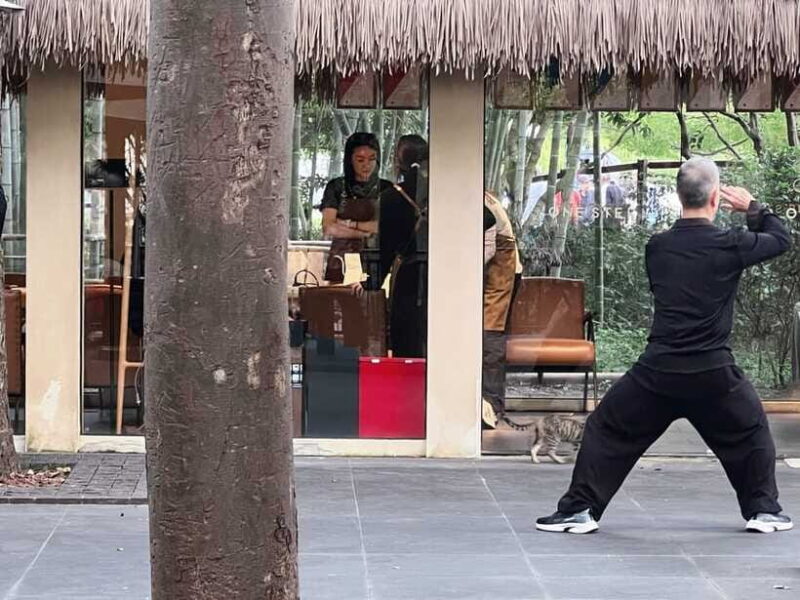 Three Hour Shanghai Tour Tai Chi and Yu Garden - Who This Tour Is Best For