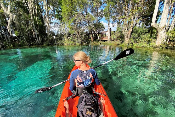 Three Sisters Springs Kayak And Swim Eco-Tour Crystal River - Opportunities to Spot Wildlife