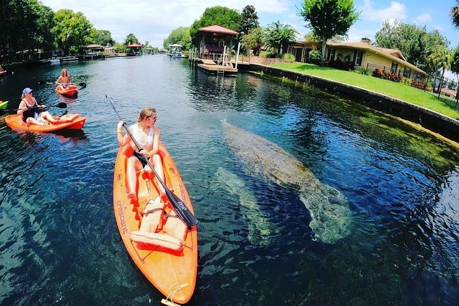 Three Sisters Springs Kayak And Swim Eco-Tour Crystal River - Positive Guest Experiences