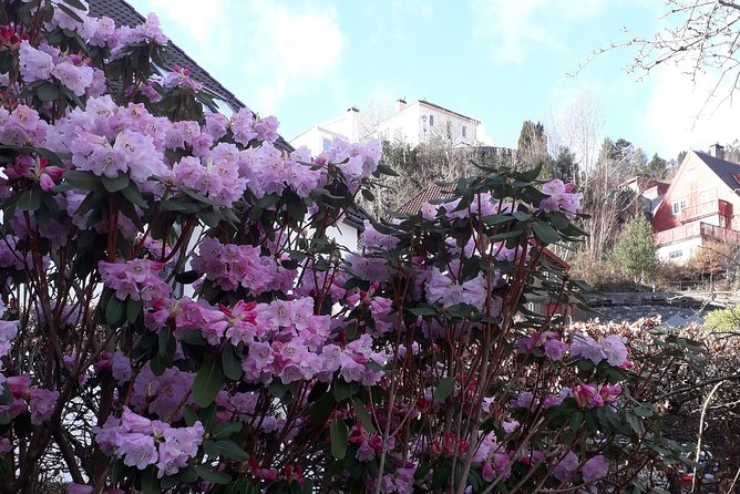 Three-summit hike in Bergen - FAQs