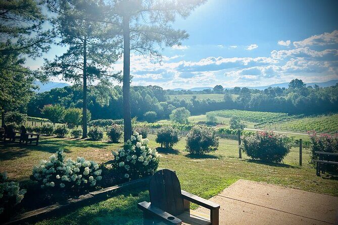 Three Vineyards Half Day Private Wine Tour From Asheville - Comprehensive Review of the Three Vineyards Half Day Private Wine Tour From Asheville