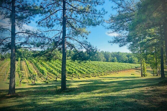 Three Vineyards Half Day Private Wine Tour From Asheville - What Makes This Tour Stand Out