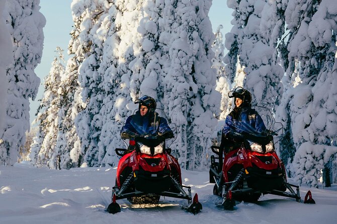 Thrill of Snowmobiling for Adults Only - Safety and Requirements