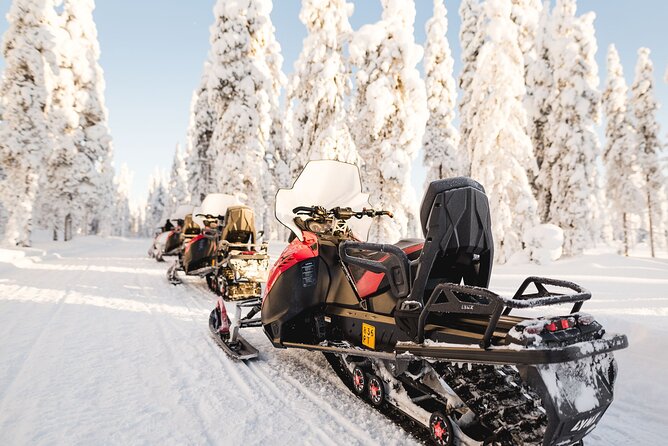 Thrill of Snowmobiling for Adults Only - Customer Feedback and Reviews