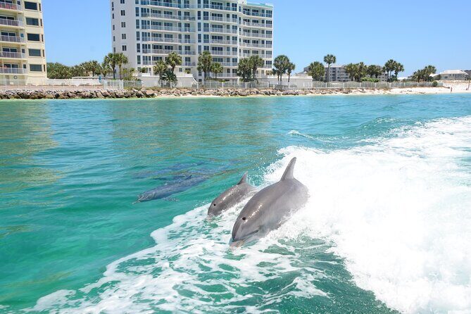 Thriller Sunset Dolphin Cruise in Destin Harbor - Frequently Asked Questions