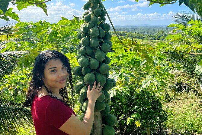 Thrilling farm adventure in Trelawny - Key Points