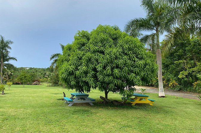 Thrilling farm adventure in Trelawny - Authenticity and What Travelers Say