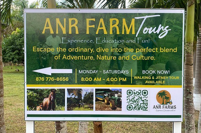 Thrilling farm adventure in Trelawny - Final Thoughts