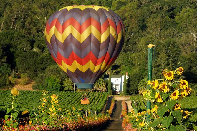 Thrilling Napa Balloon Ride: No change after 5pm the day prior to balloon tour - Thrilling Napa Balloon Ride: An Authentic Look at California’s Iconic Wine Country