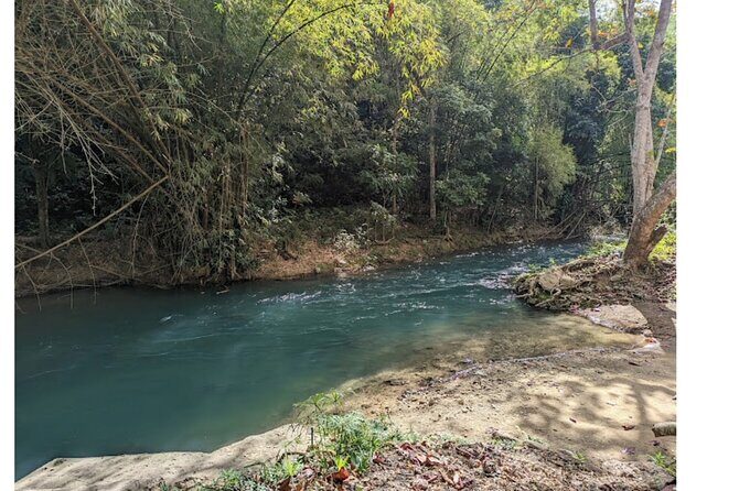 Thrilling River Rapids Adventure from Montego Bay - Final Thoughts: Is It Worth It?