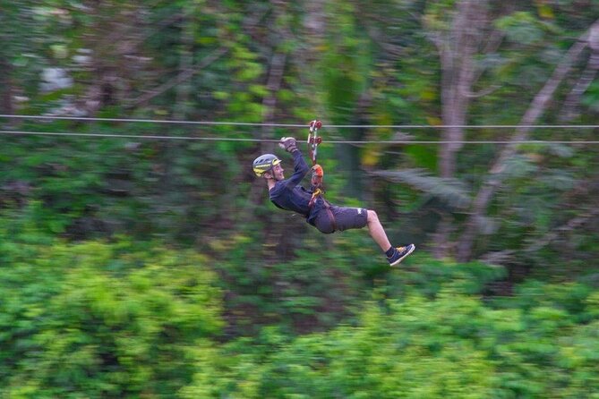 Thrilling Zipline Adventure at Bocawina Rainforest - Customer Feedback