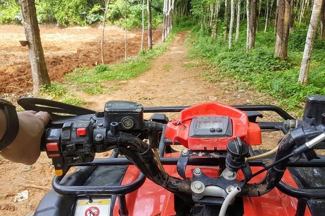 Thrilling Zipline Adventures at Thai'd Up in Krabi's Lush Jungle - The Sum Up: Who Will Love This Tour?