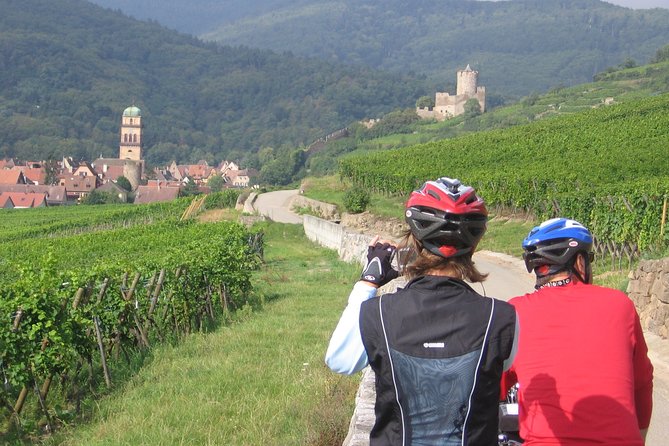Through Alsace Vineyards and Wine Villages Private Bike Tour - Experience Highlights