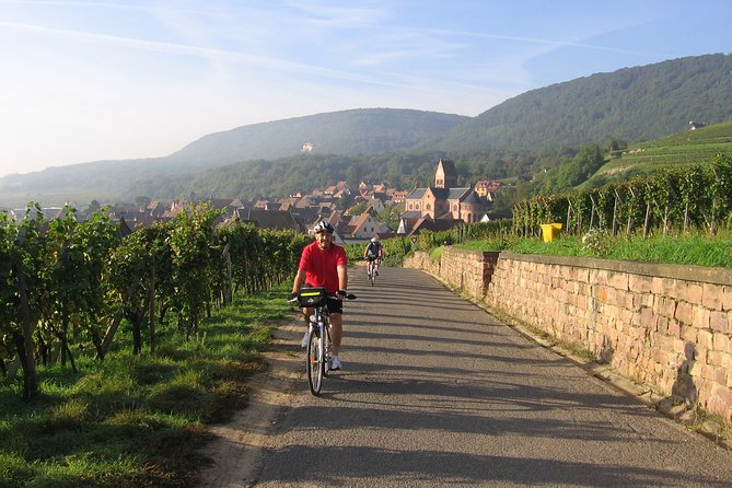 Through Alsace Vineyards and Wine Villages Private Bike Tour - Customer Reviews