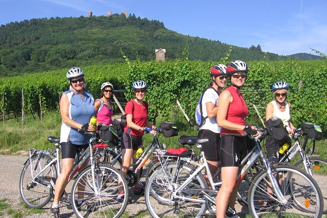 Through Alsace Vineyards and Wine Villages Private Bike Tour - Exploring Grand Cru Vineyards