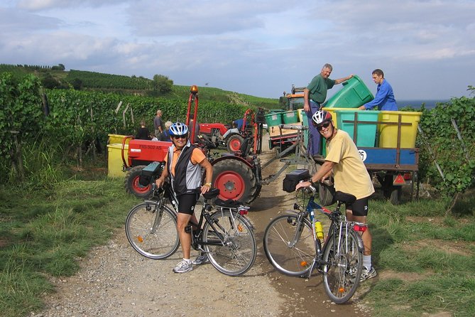 Through Alsace Vineyards and Wine Villages Private Bike Tour - Discovering the Local Wine Co-op