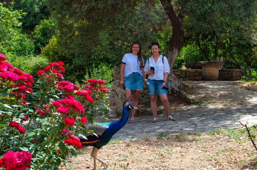 Through Heart of Crete to South & Wine Tasting Private tour - Who Will Love This Tour?