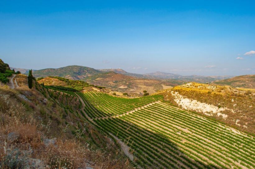 Through Heart of Crete to South & Wine Tasting Private tour - Possible Drawbacks or Considerations