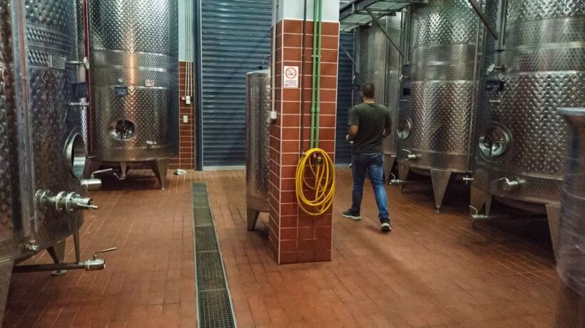 Through Heart of Crete to South & Wine Tasting Private tour - Final Thoughts