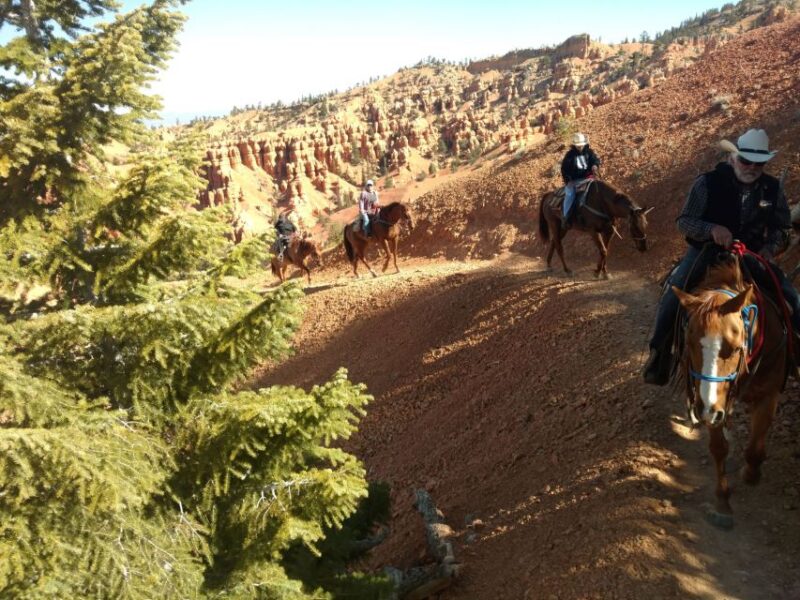 Thunder Mountain Trail: Scenic Horseback Ride - Itinerary Breakdown