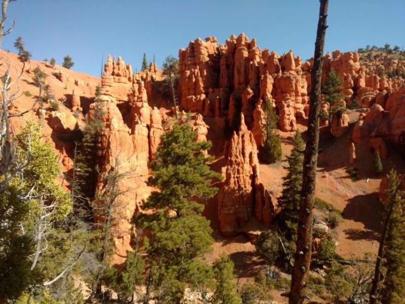 Thunder Mountain Trail: Scenic Horseback Ride - Practical Tips for Participants