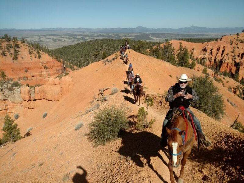 Thunder Mountain Trail: Scenic Horseback Ride - Who Should Consider This Tour?