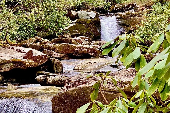 Thundering Streams and Falls of the Smokies Guided Hiking Tour - Key Points