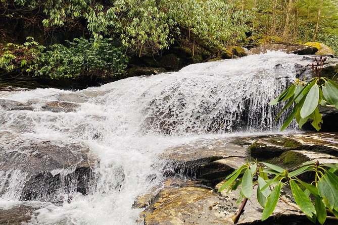 Thundering Streams and Falls of the Smokies Guided Hiking Tour - Exploring the Smokies Spectacular Streams and Cascades