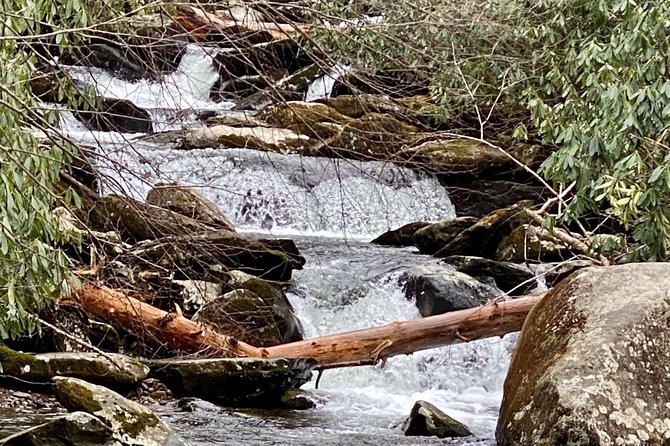 Thundering Streams and Falls of the Smokies Guided Hiking Tour - Meeting the Group and Preparing for the Hike
