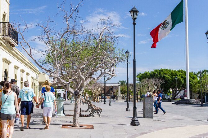 Thursday's Art Walk in San Jose del Cabo - Thursdays Art Walk in San Jose del Cabo: A Guide to Authentic Culture and Creative Charm
