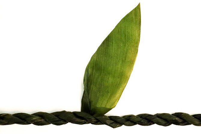 Ti Leaf Airport Lei Greeting (Maui, Kahului Airport, OGG) - The Cultural Significance