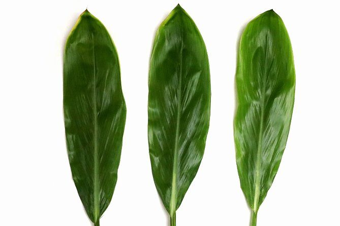 Ti Leaf Airport Lei Greeting (Maui, Kahului Airport, OGG) - Why Travelers Love It