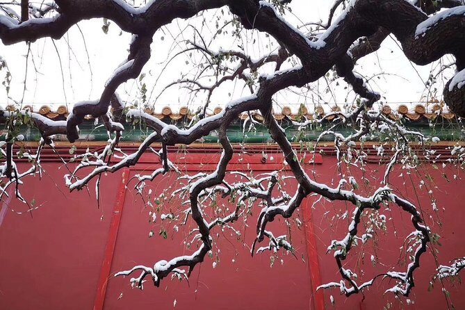 Tiananmen Square and Forbidden City Layover Tour from Beijing Airport - Why This Tour Offers Good Value