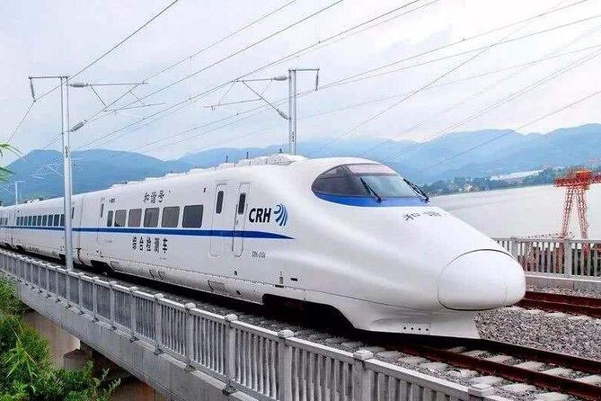 Tianjin Private Transfer from Railway Station to Cruise Port - A detailed look at what this transfer offers